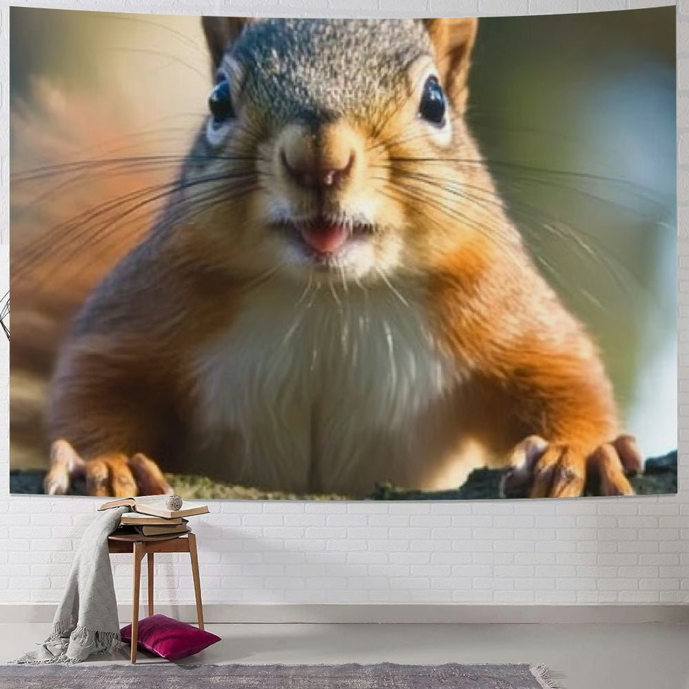 BCIIG Squirrel Tree Branch Surprised Tapestry Wall Hanging Unique Style ...