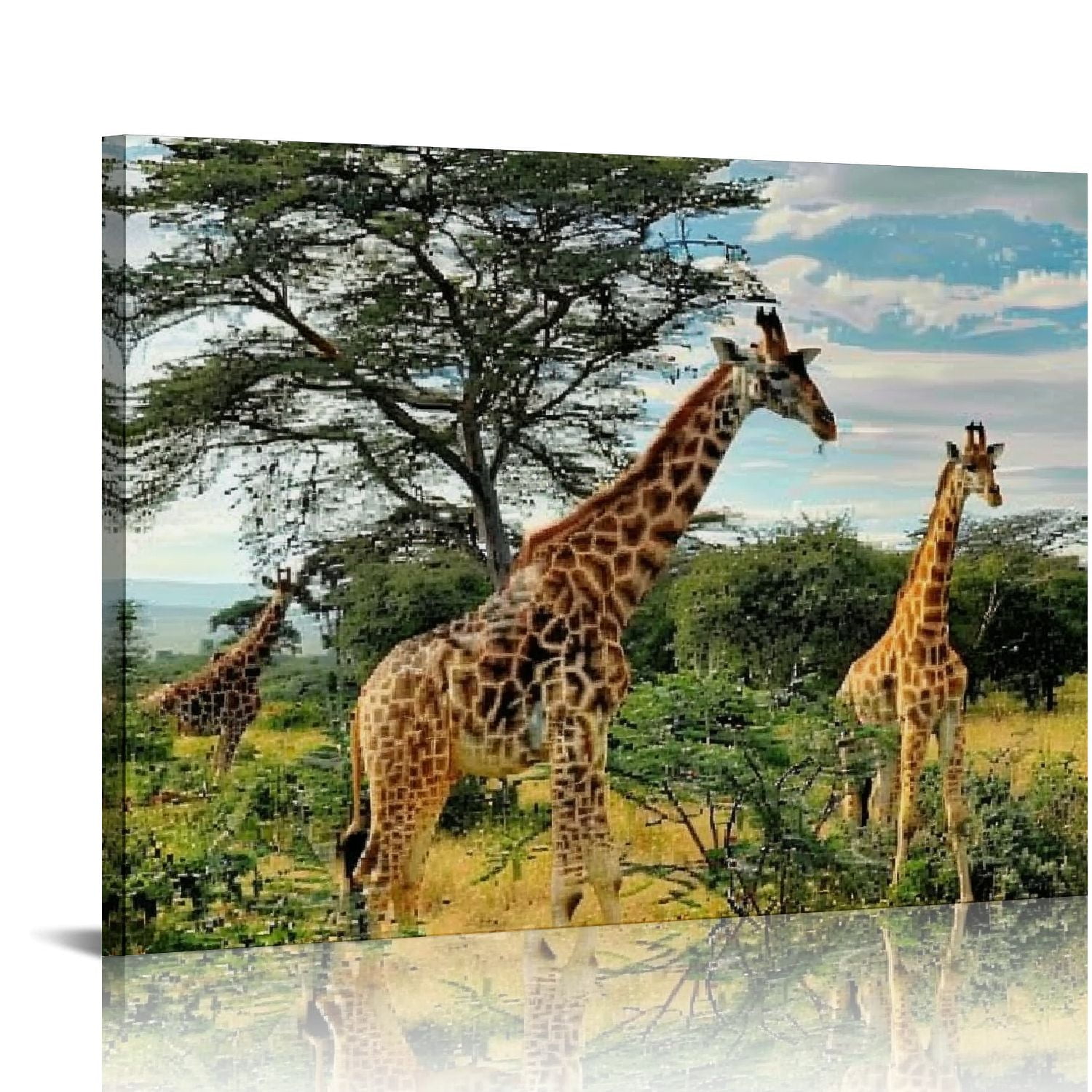 BCIIG Tall Giraffe Grazing in the Wild Giraffe Wall Art Giraffe ...