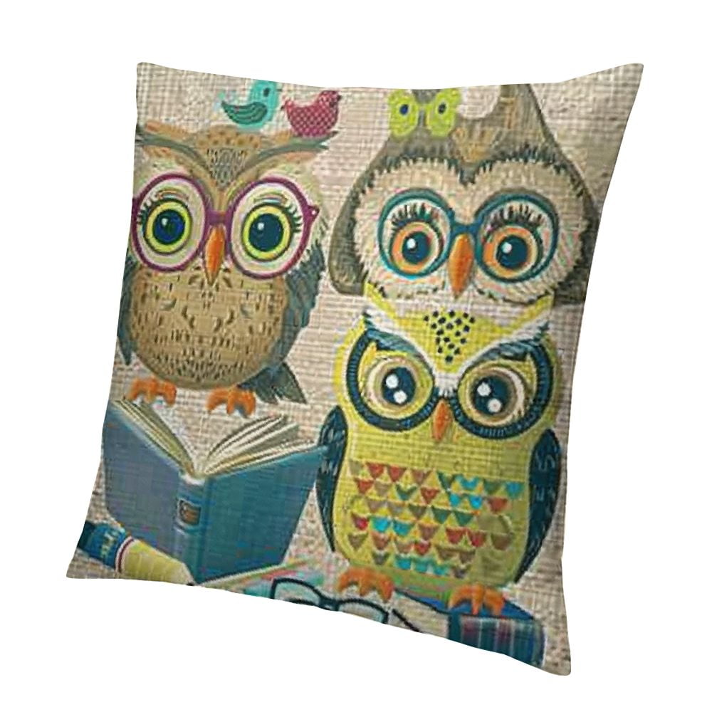 BCIIG Throw Pillow Covers For Couch Back To School Owls Decorative Bed ...