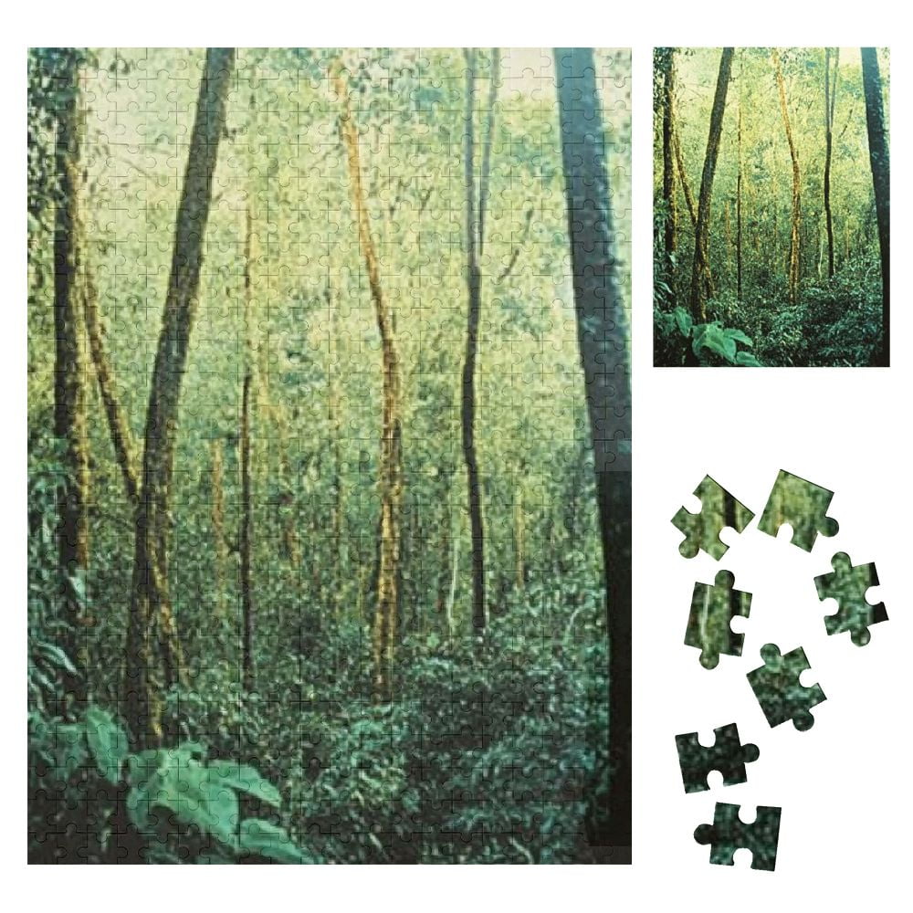 BCIIG Trees Plants Forest Wooden Jigsaw Puzzle Vertical Style Adults ...