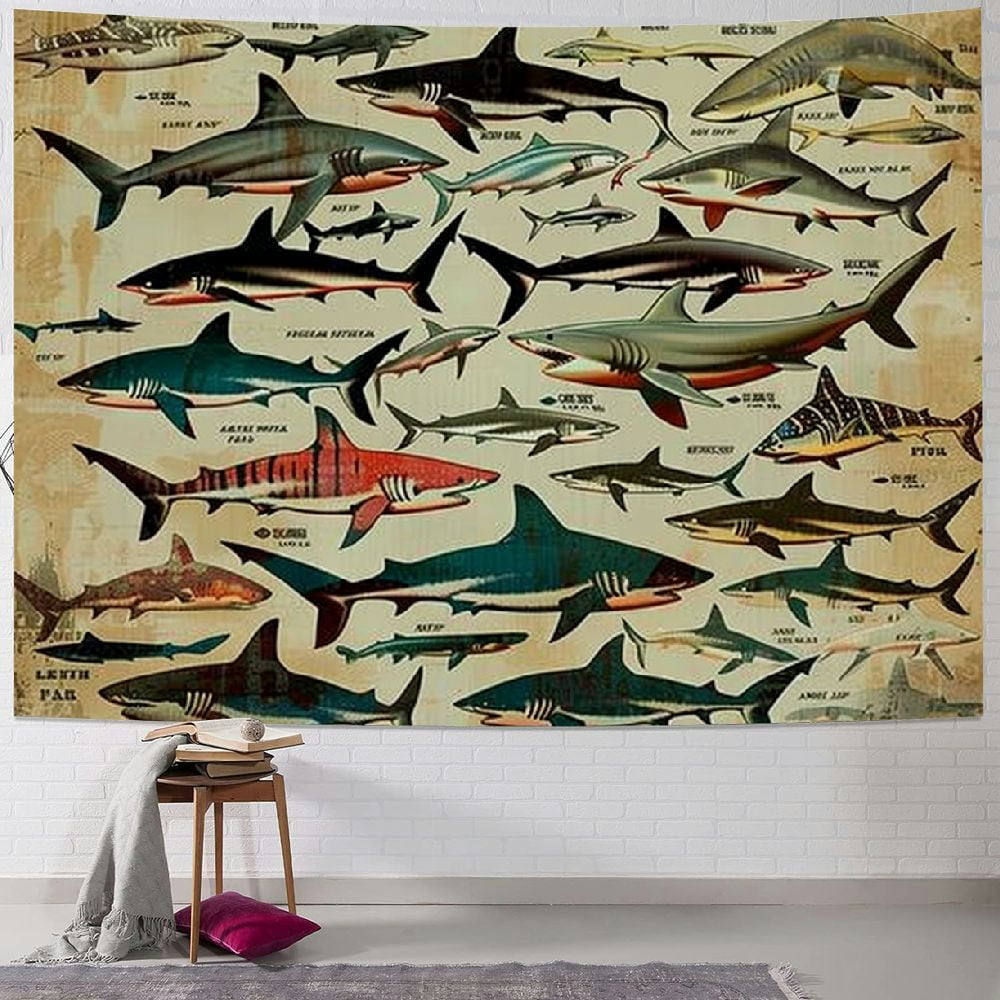BCIIG Types of Shark Metal Tin Sign nowledge Graph Fun World Education ...