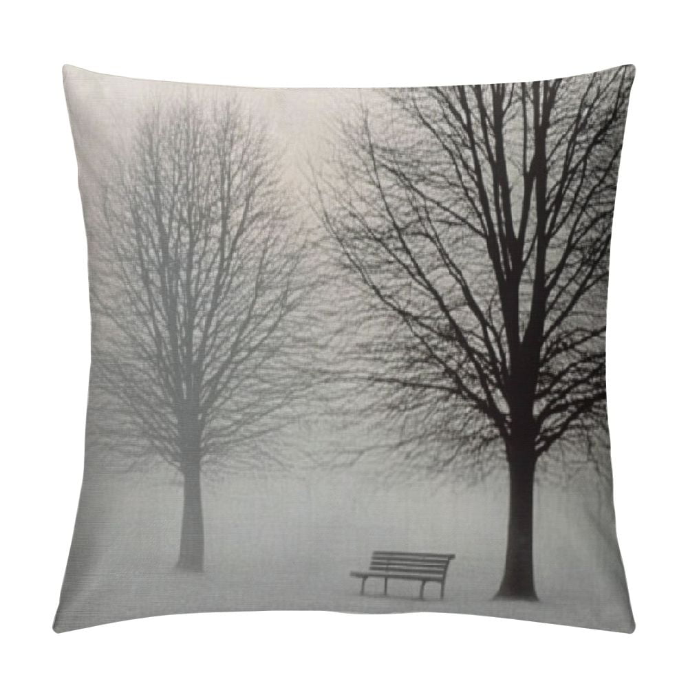 BCIIG Winter Throw Pillow Cushion Cover, Foggy Misty Cold Scenery ...