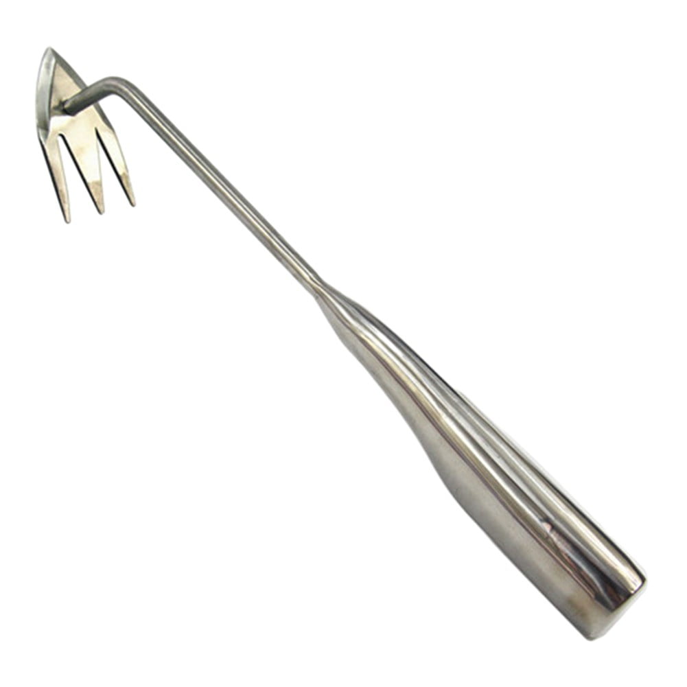 BCLONG 1. Stainless Steel Hand Weeder with Wooden Long Handle ...
