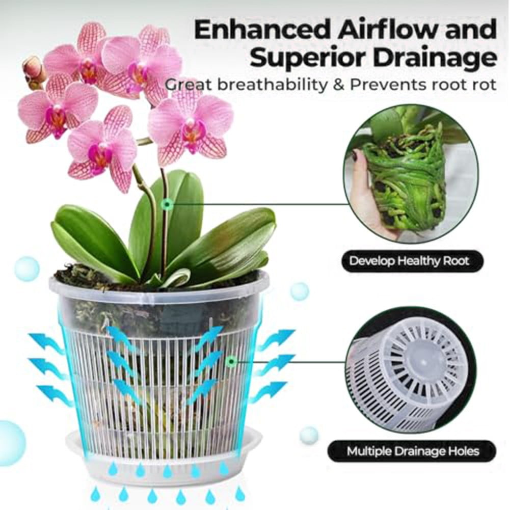 BCLONG Clear Orchid Pots with Saucers 6 Pack for Healthy Roots & Easy ...