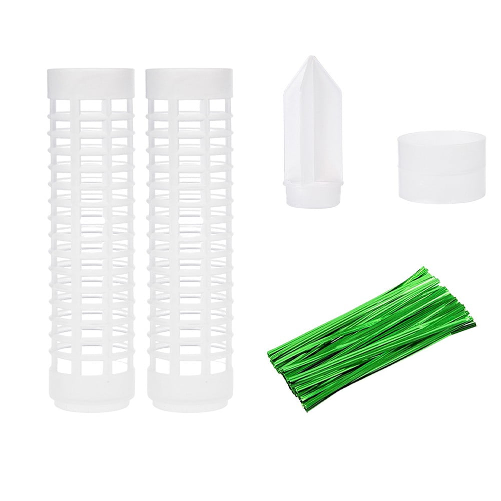 BCLONG Moss Rod Plant Pole with Plant Bands for Climbing Plants Natural ...