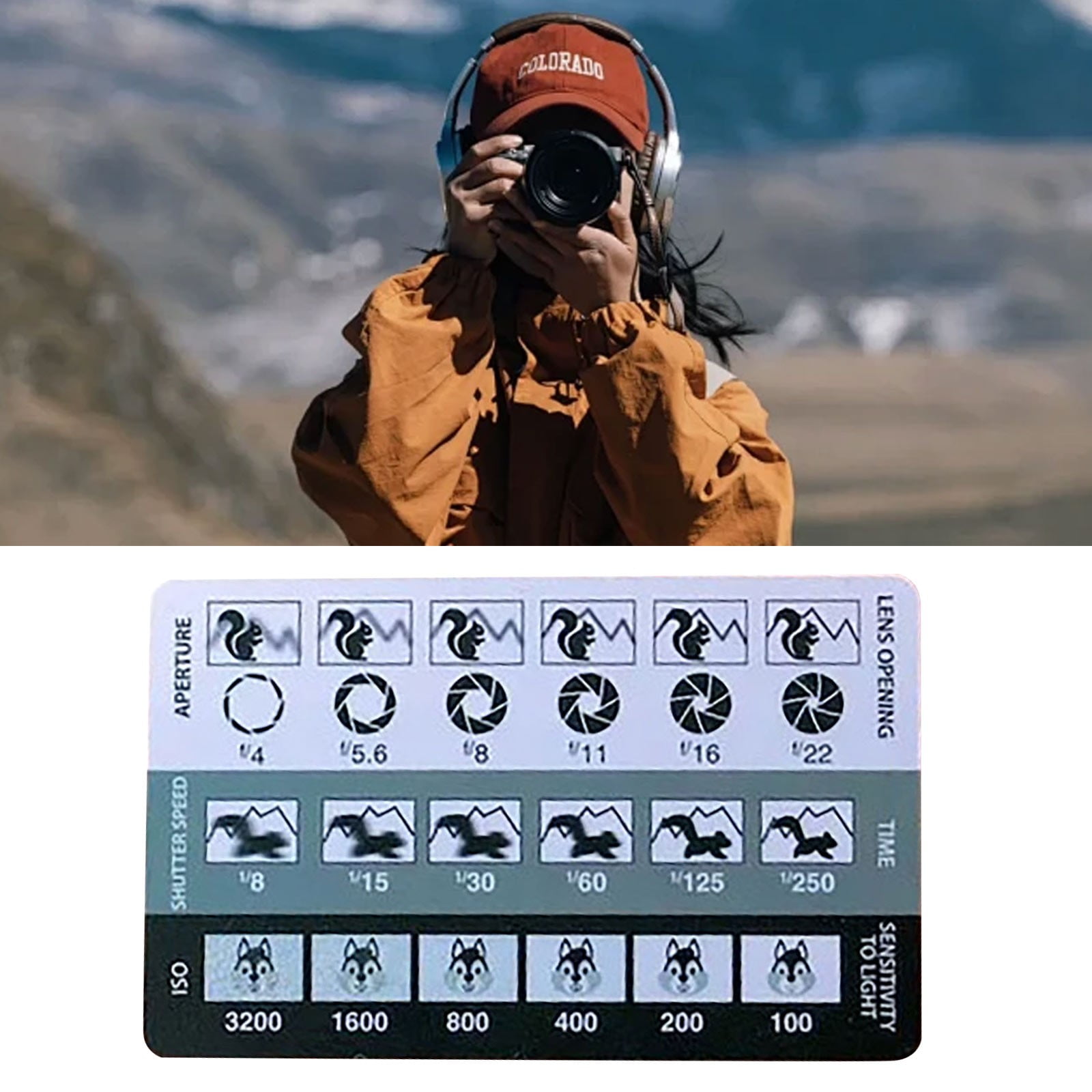 BCMMKLPP Golden Ratio, Fibonacci & Rule of Thirds Composition Tool ...