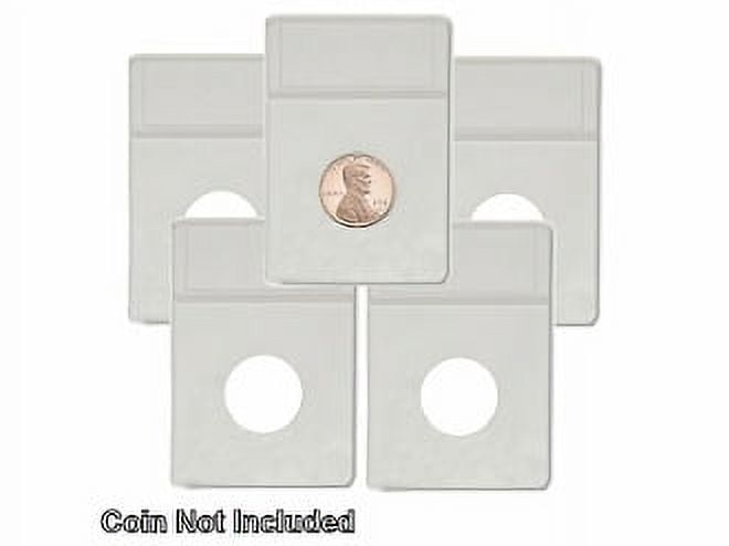 BCW Penny Foam Inserts for Display Slabs, No Slabs, White 5 pk ...