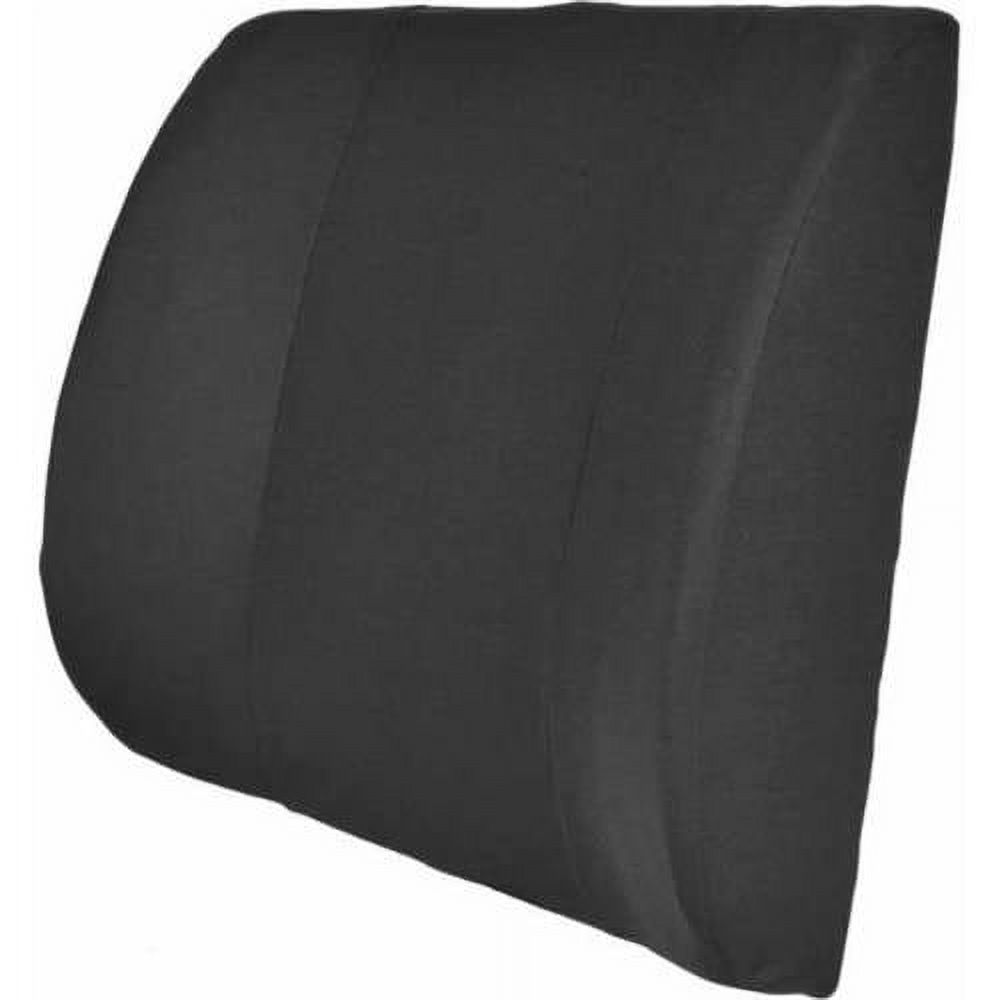 BDK Comfort Foam Lumbar Support Back Cushion, Mesh Polyester Cloth ...