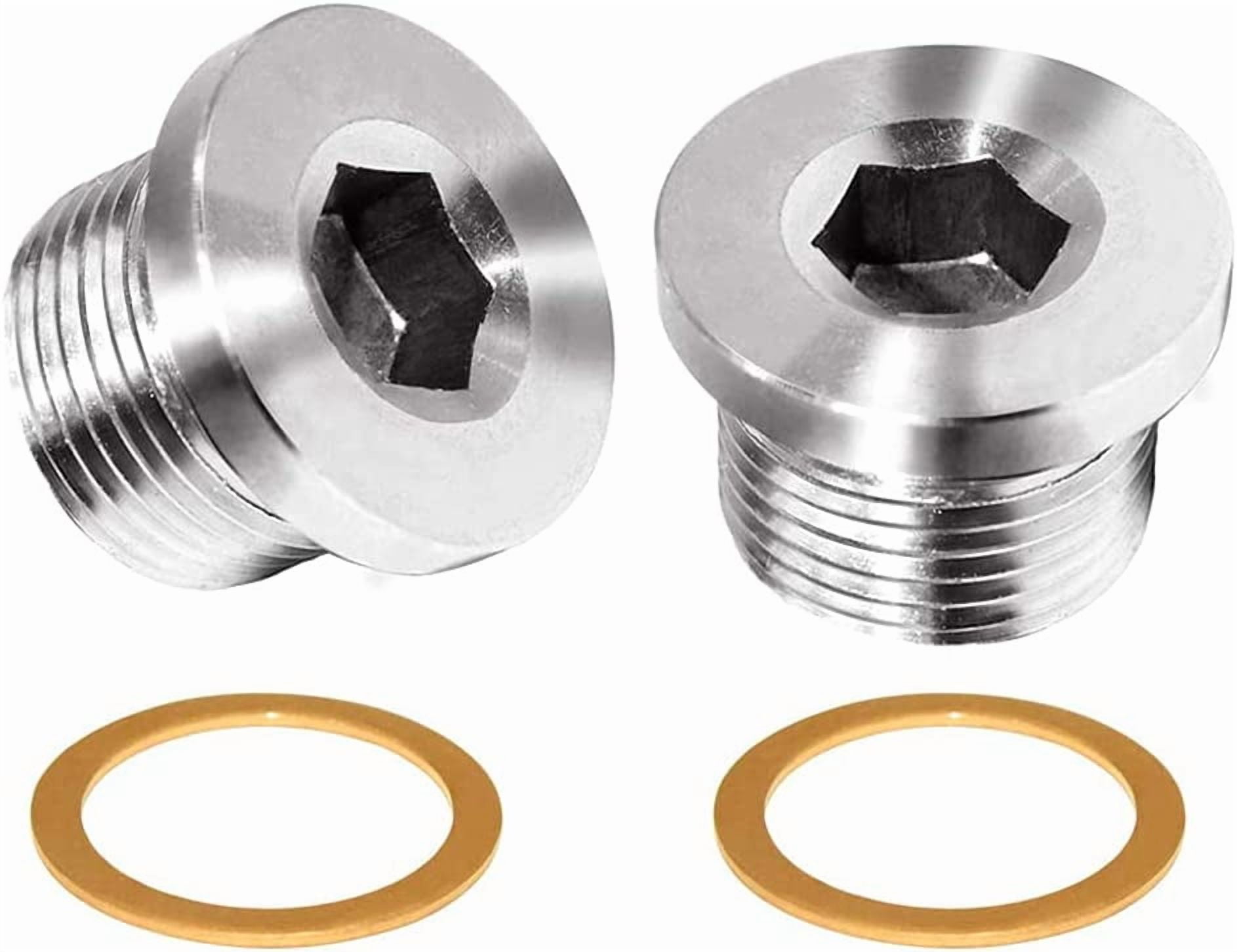 BDKWID-Internal Hex Head Socket Pipe plug M10x1 Thread Stainless Steel ...