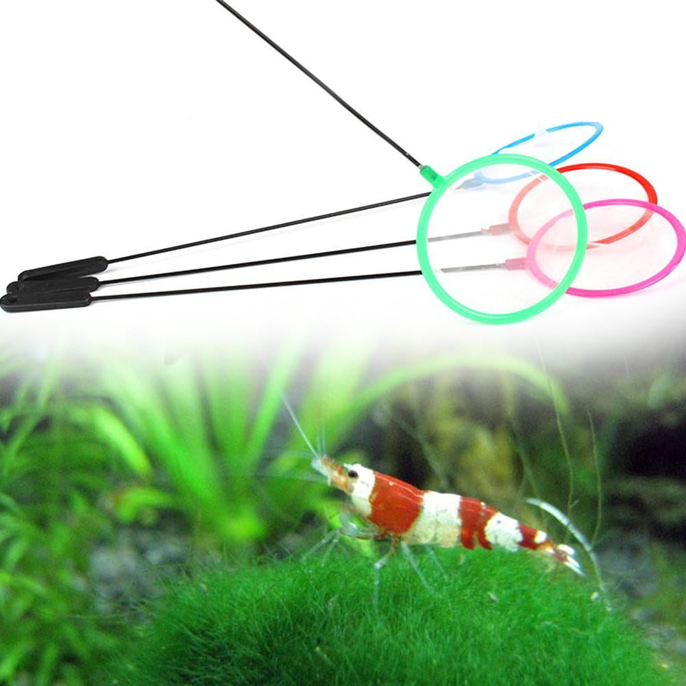 BE Brine Shrimp Net Super Dense Mesh Mix Color Aquarium Tool Tan F7C2 ...