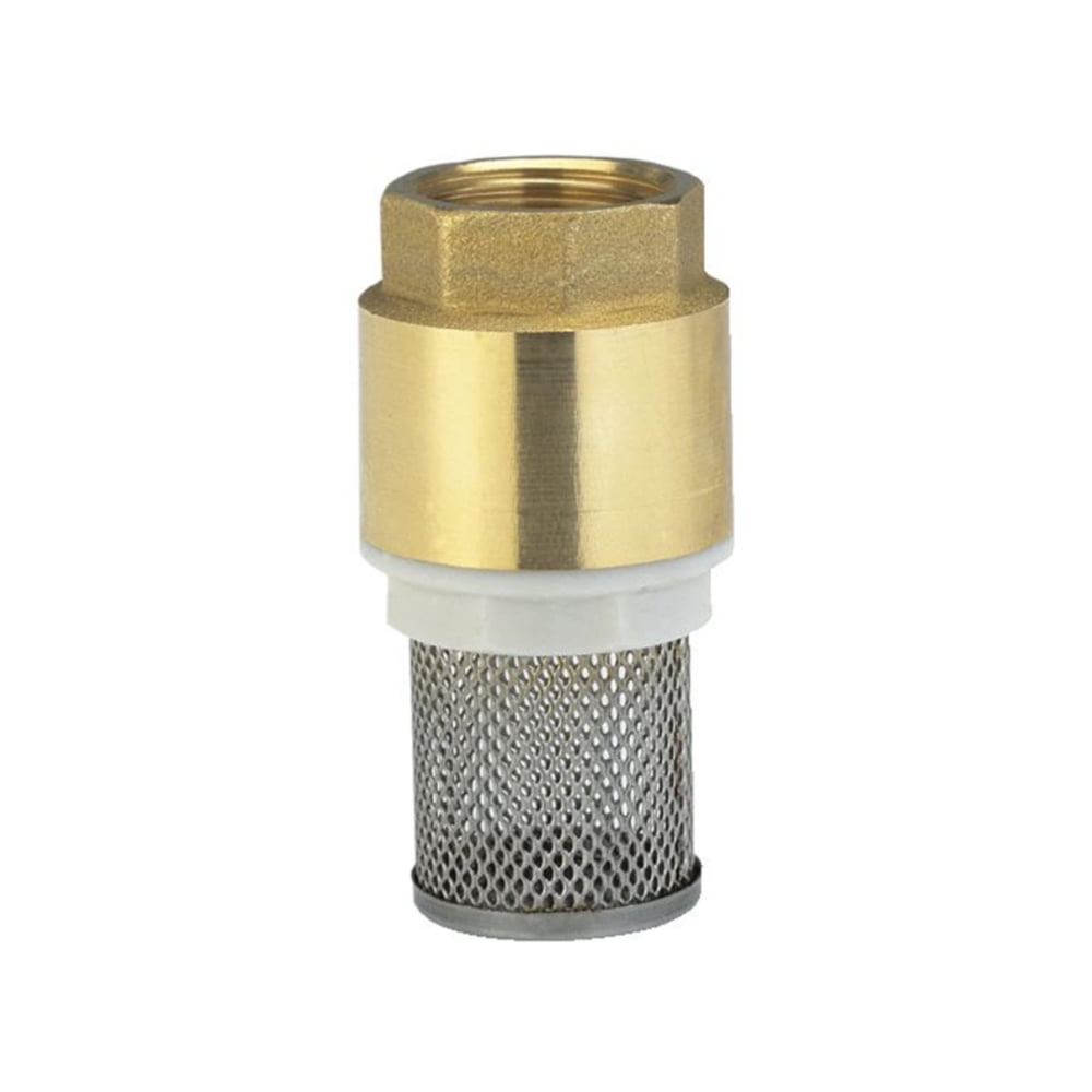 BE-TOOL 1" Brass Vertical Check Valve, Water Pump Bottom Valve with ...