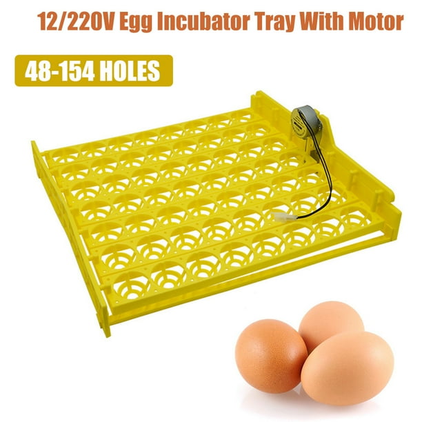 BE-TOOL Chicken/Quail Egg Tray PCB Turning Motor for 48/56/132/154 ...