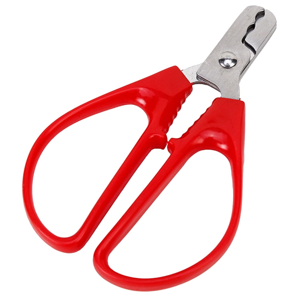 BEADCEST 1Pack Nut Sheller Break-Resistant Daily Nut Cracking Tool for ...