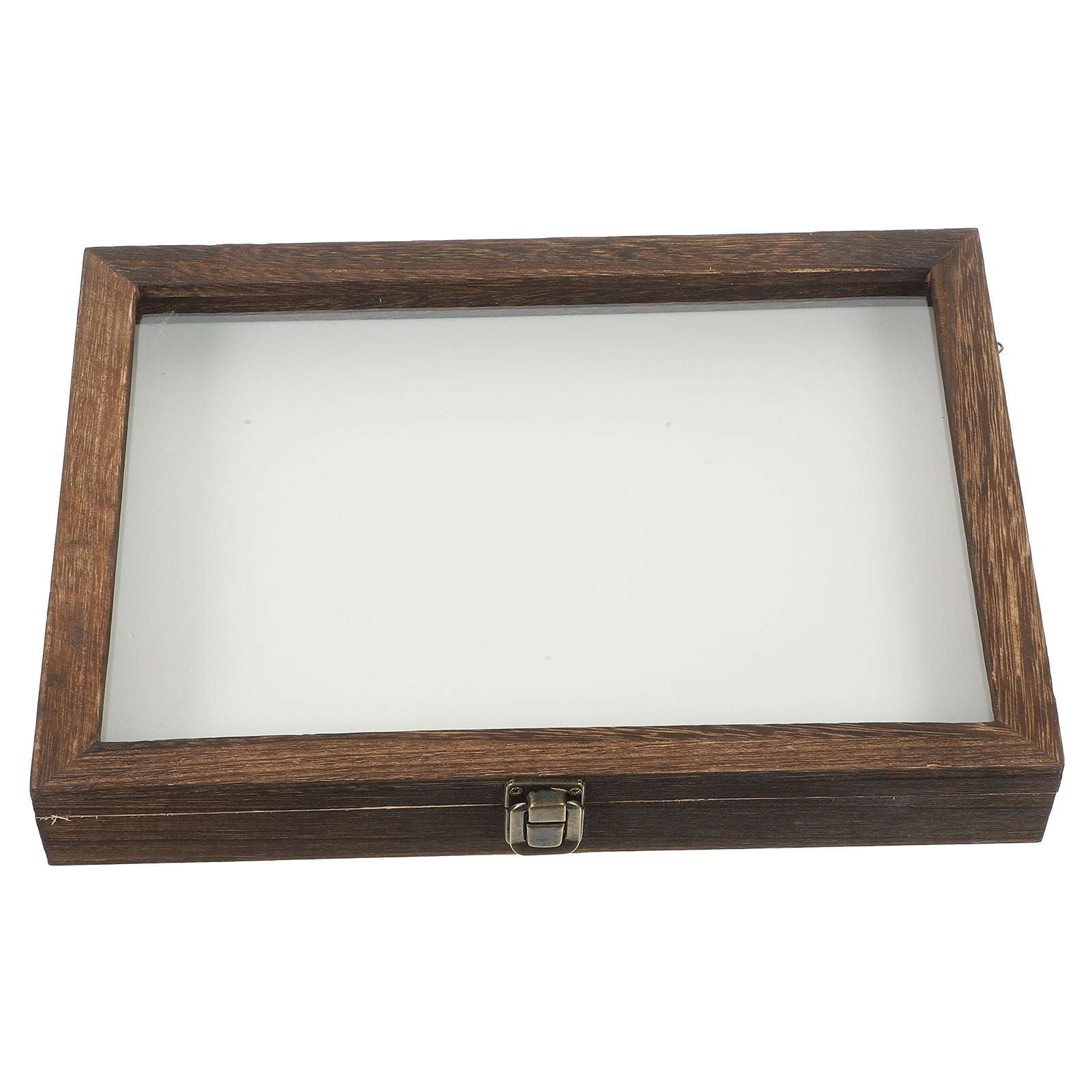 BEADCEST Insect Display Case 1 Set Rectangular Shaped Wood Lint Acrylic ...