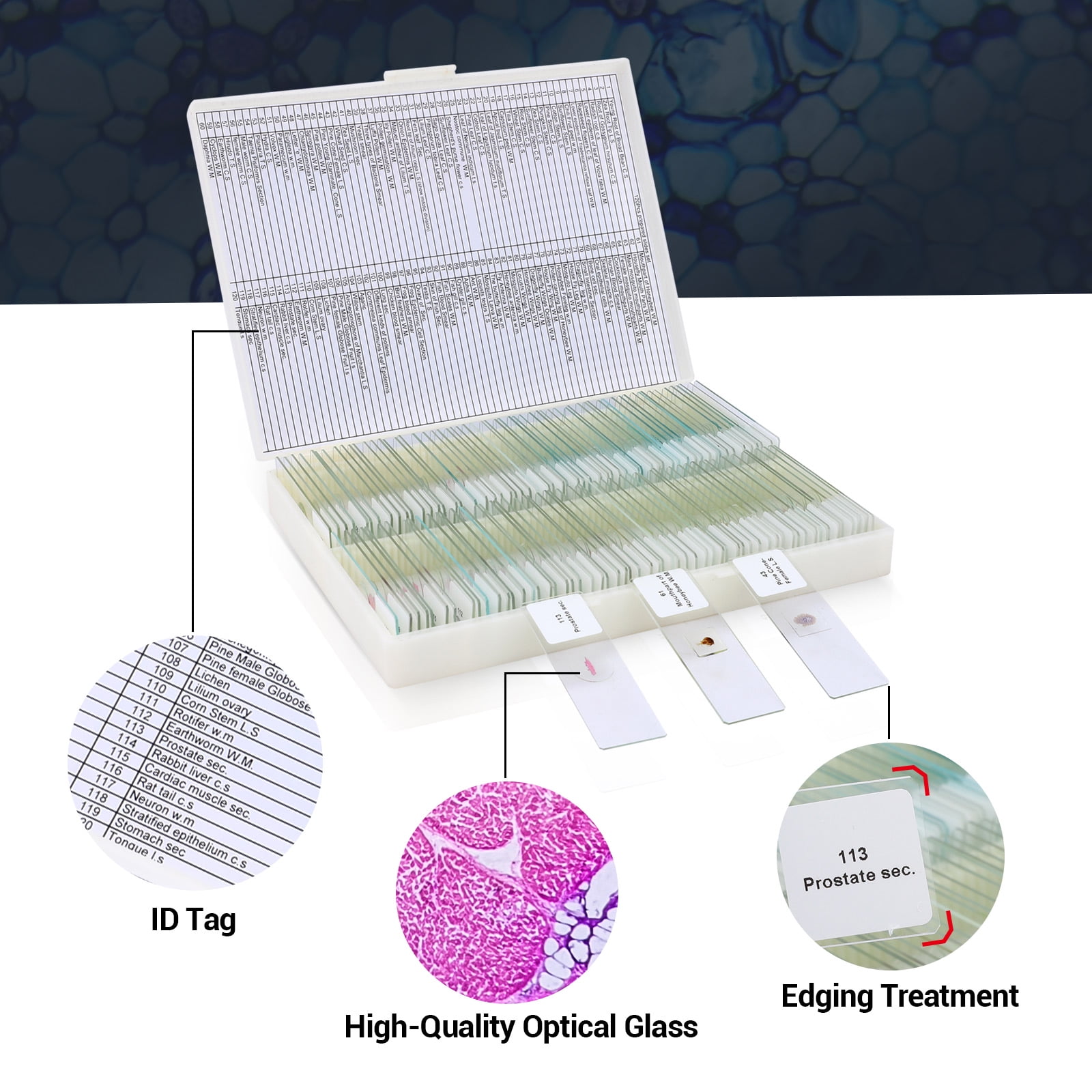 Microscope Slides Of Cells