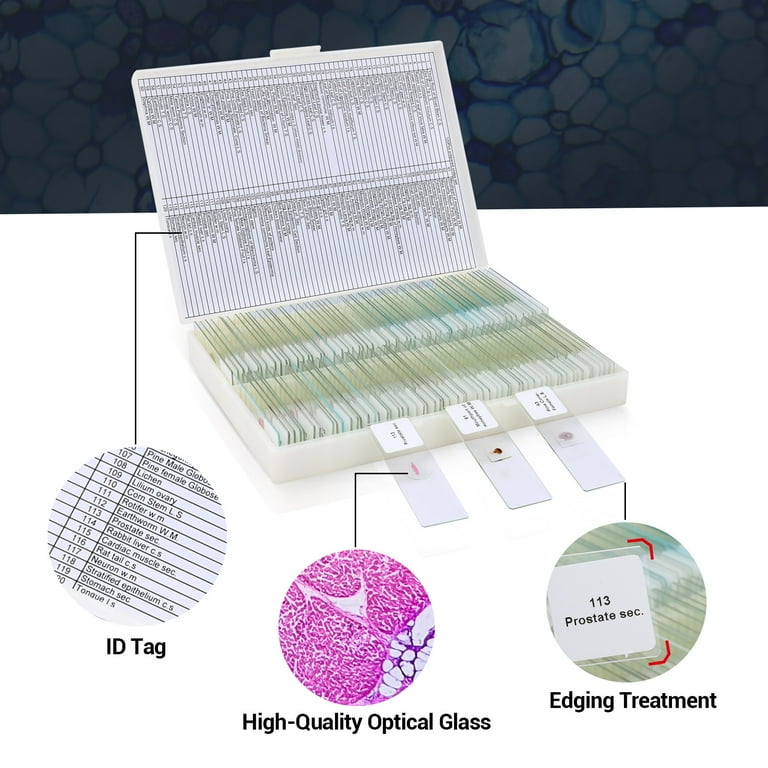 Prepared Microscope Slides For Kids