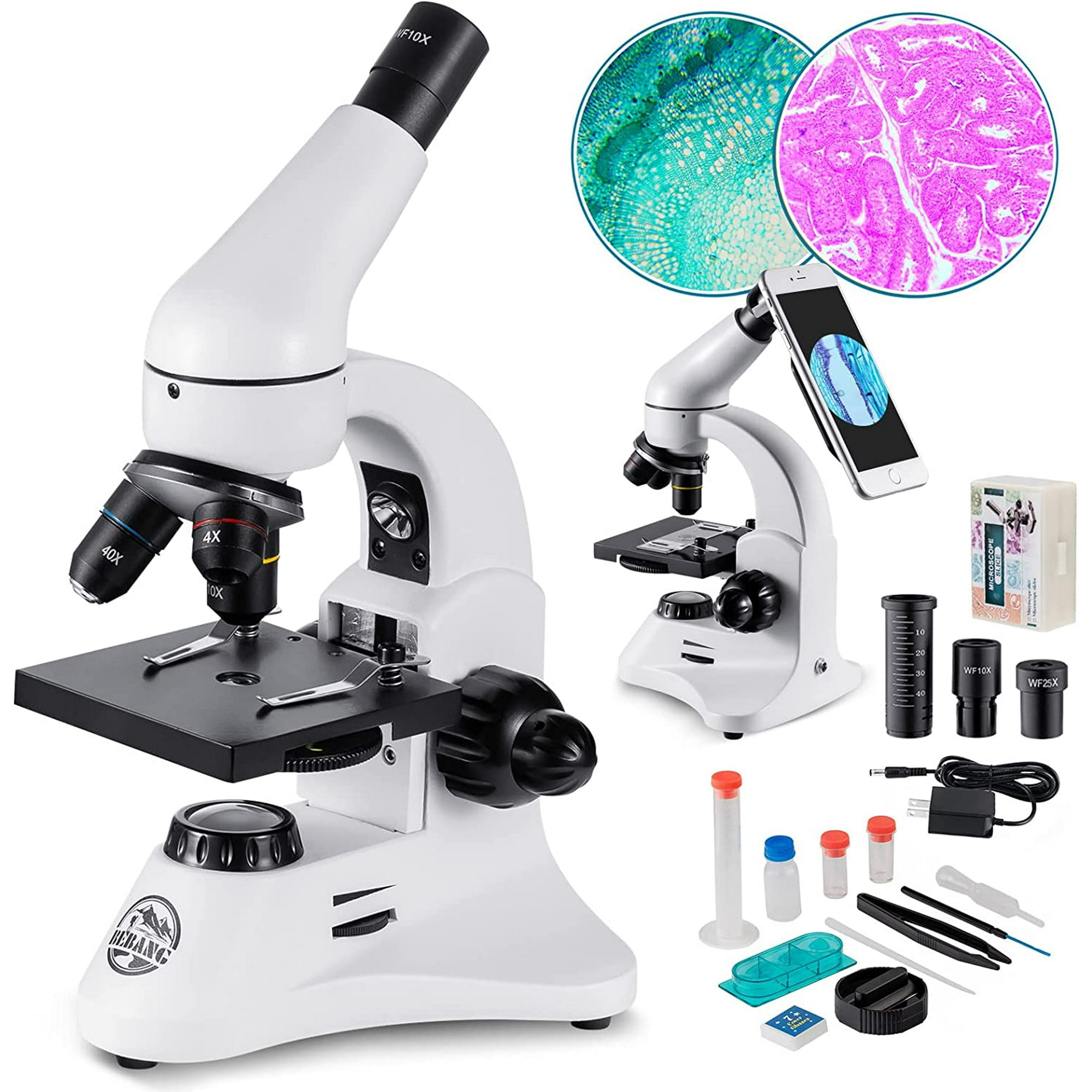 Microscopes For Kids