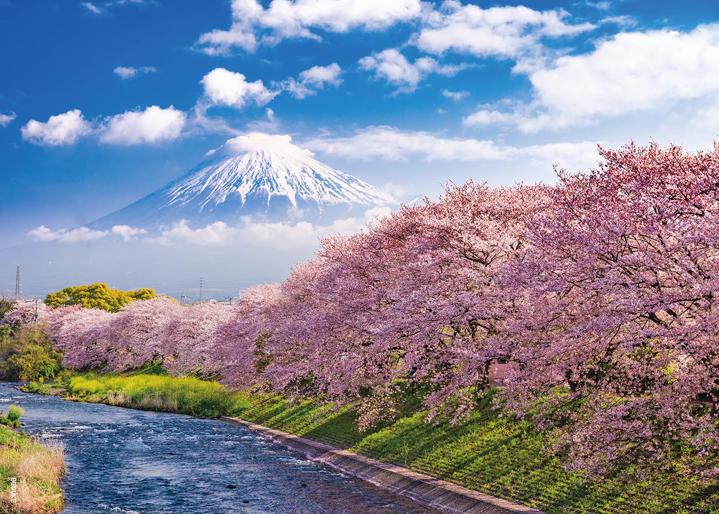 BEDUKE Jigsaw Puzzles for DHF10 Adults 1000 Pieces Cherry Blossom Thick ...