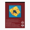 BEE | Vellum Surface Bristol Paper Series - Walmart.com