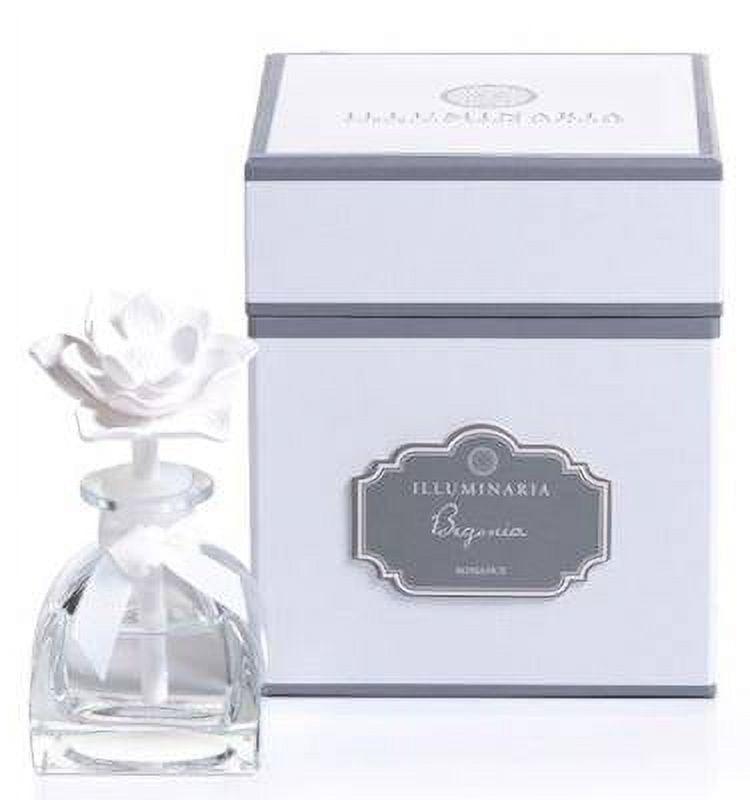 BEGONIA ZODAX Mini Illuminaria Porcelain Diffuser - Walmart.com