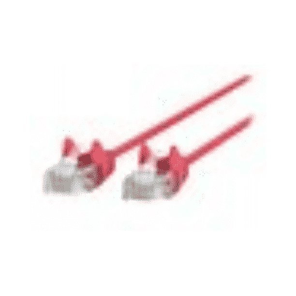 BELKIN CAT6 SLIM 28AWG CABLE - RED - 1FT - Walmart Business Supplies