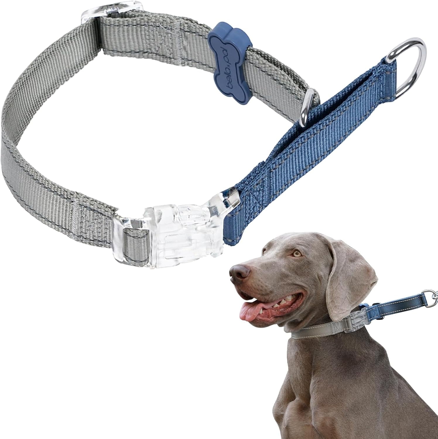 BELLA & PAL Slip Martingale Collar for Dogs, Limited Slip Design ...
