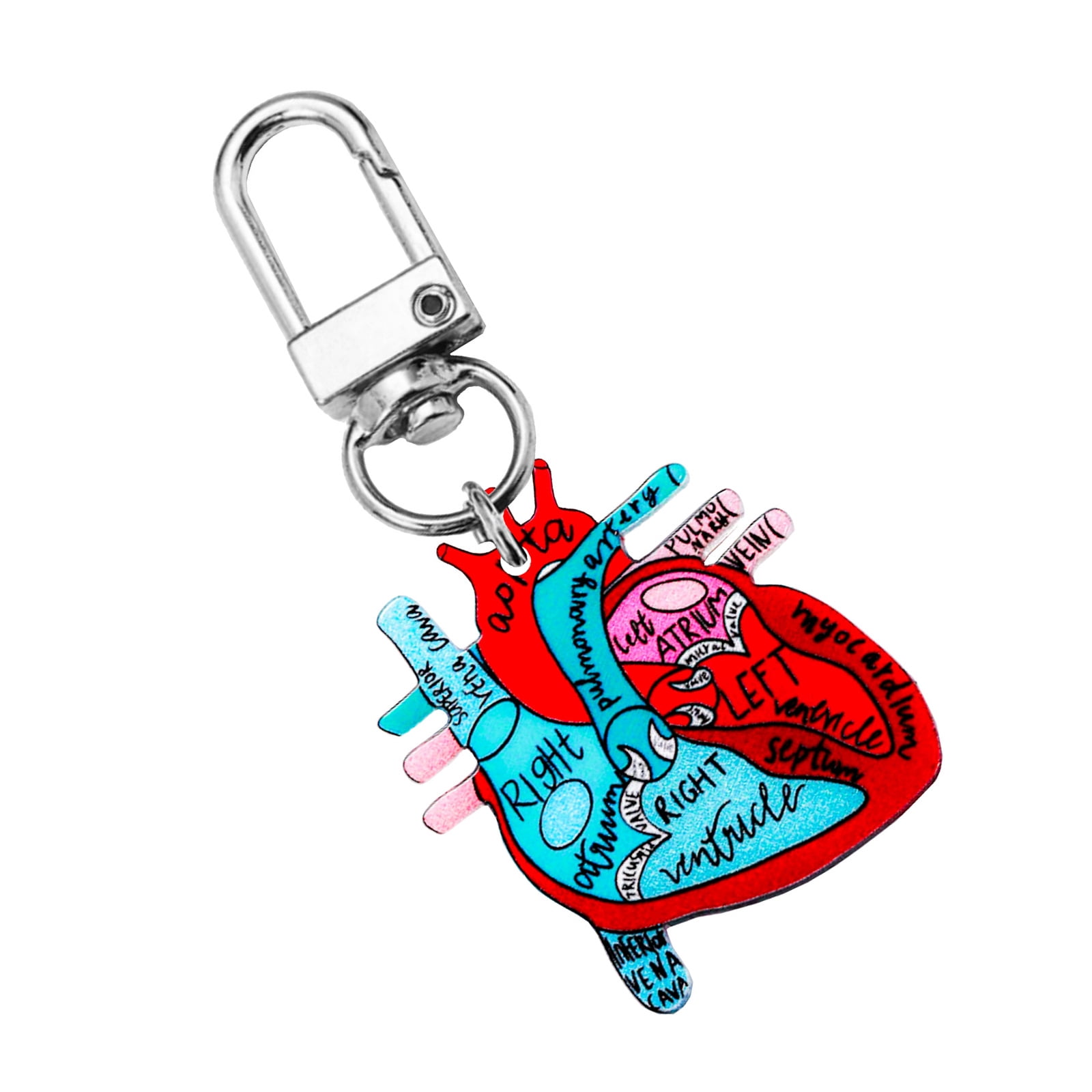 BELOWSYALER Human Heart Diagram Keychain Detailed Heart Keychain ...