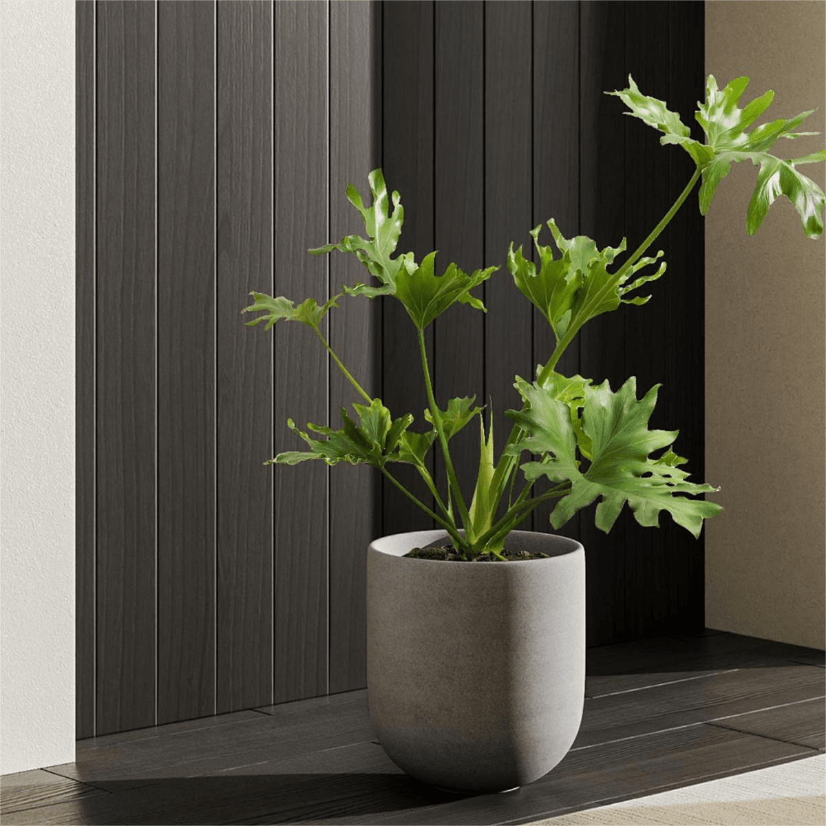 BEMAY 10" Plant Pots,Ceramic Planters with Drainage Hole Plug,Flower ...