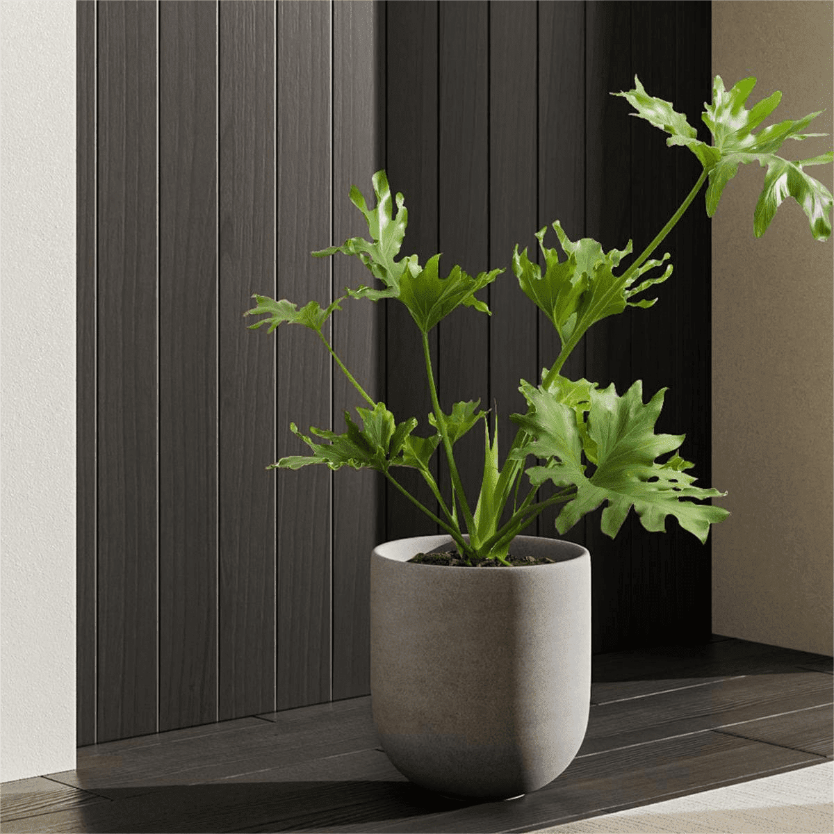 BEMAY 10" Plant Pots,Ceramic Planters with Drainage Hole Plug,Flower ...