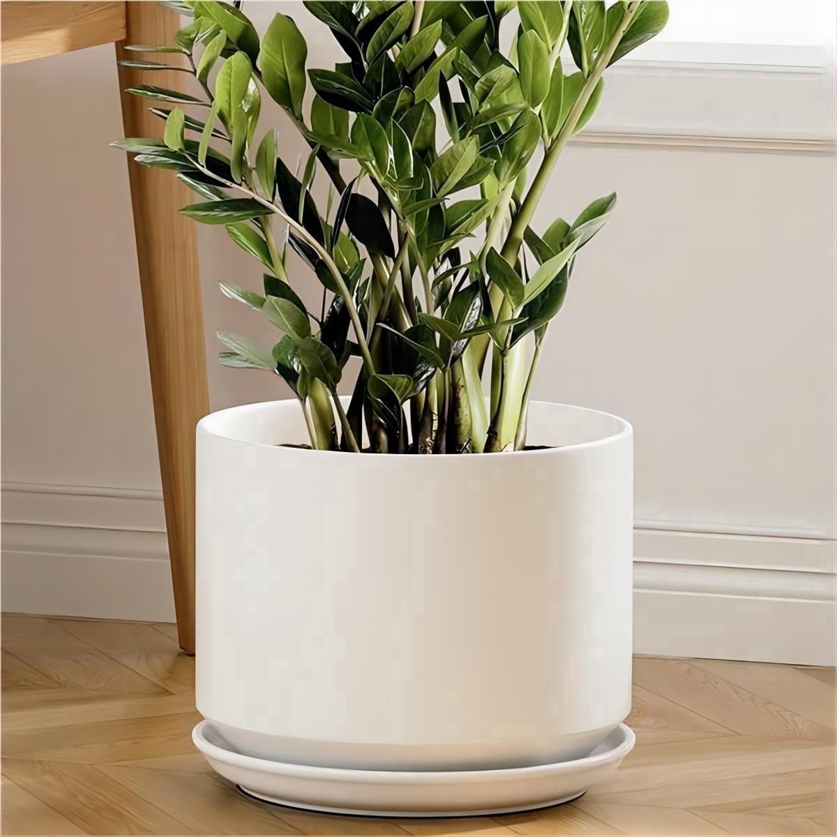 BEMAY 12" Ceramic Plant Pot with Drainage & Saucer, Indoor Planter ...