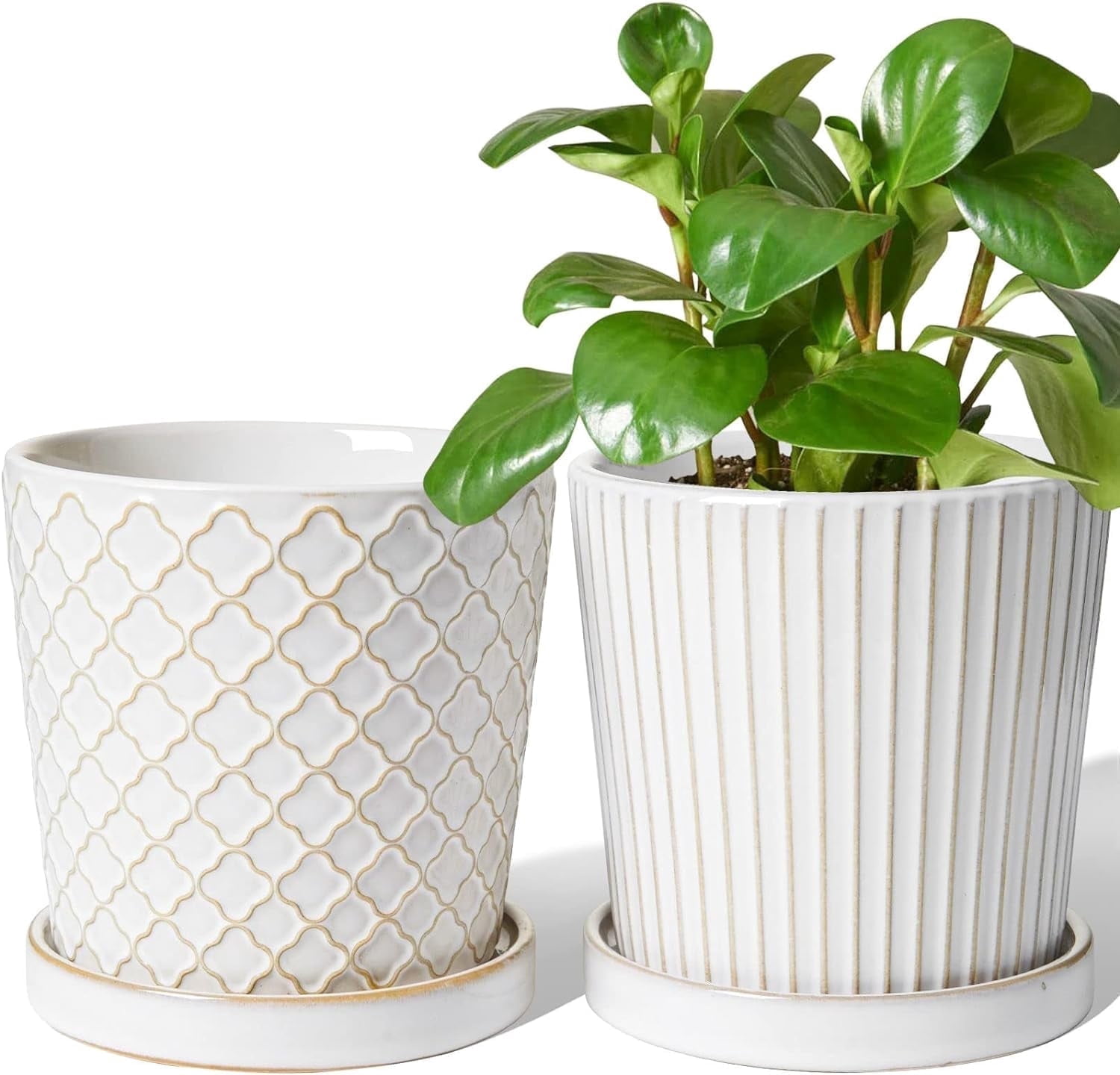 BEMAY Ceramic Plant Pots 5.5 Inch Set of 2 with Drainage Hole and Tray ...