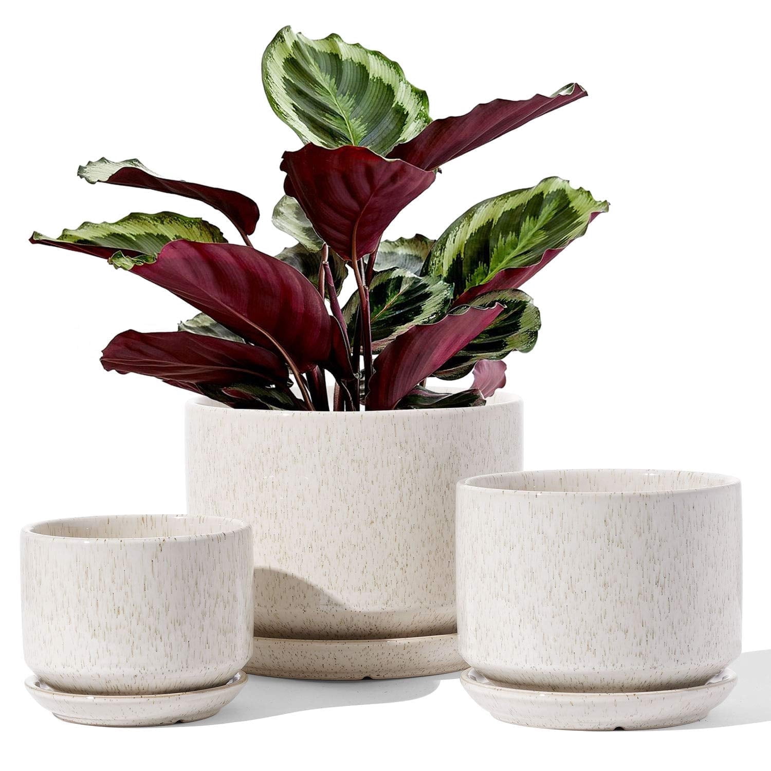 BEMAY Ceramic Plant Pots Set of 3 with Drainage Holes 4.3, 5.3, 6.8 ...