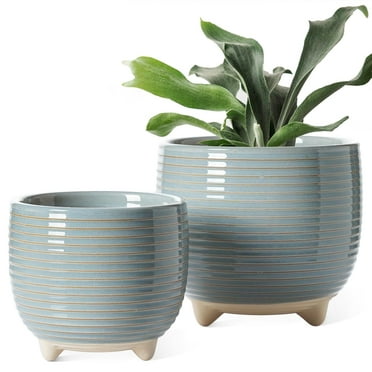 Self Watering Planter Indoor Flowerpot No Soil Planter Bedroom Indoor ...