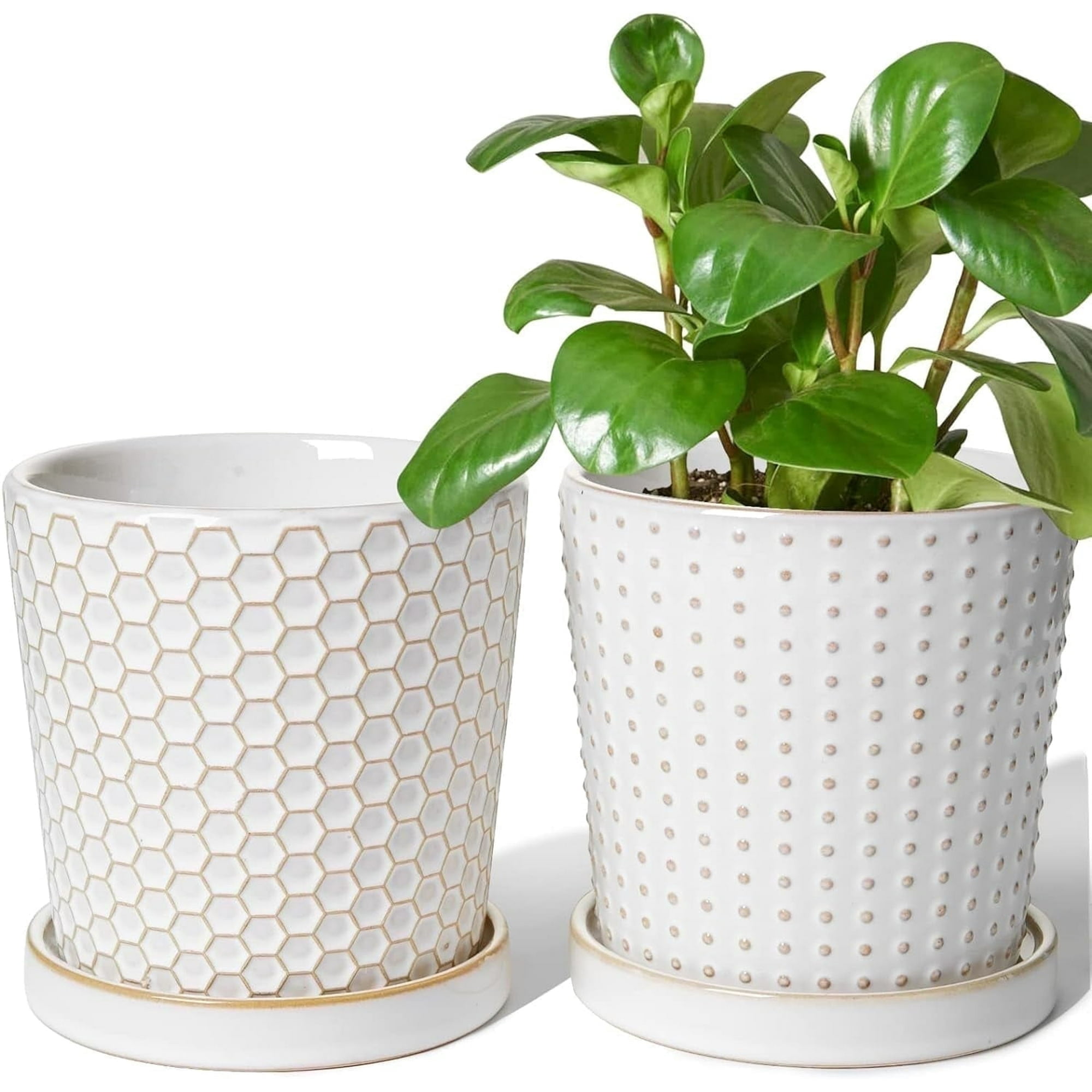 "BEMAY Indoor Decorative Planters, 5.5"" White Ceramic Flower Pots with ...