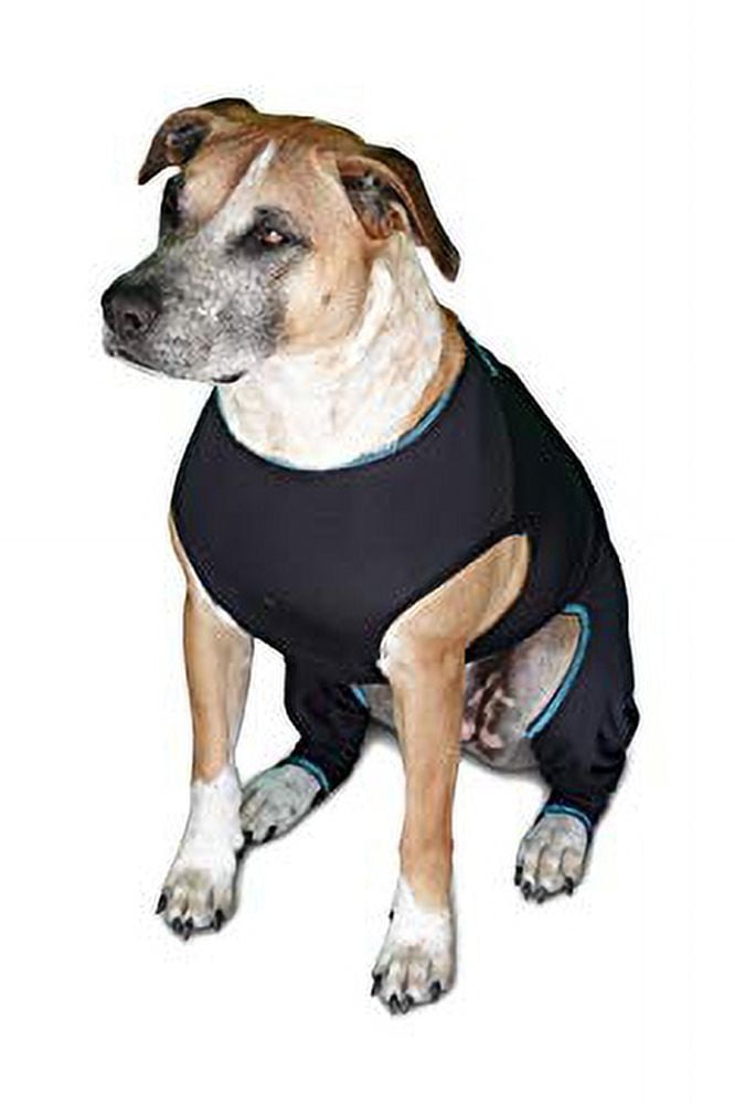 BENEFAB Therapeutic Comfort Suit for Dogs — Lightweight Far-Infrared ...