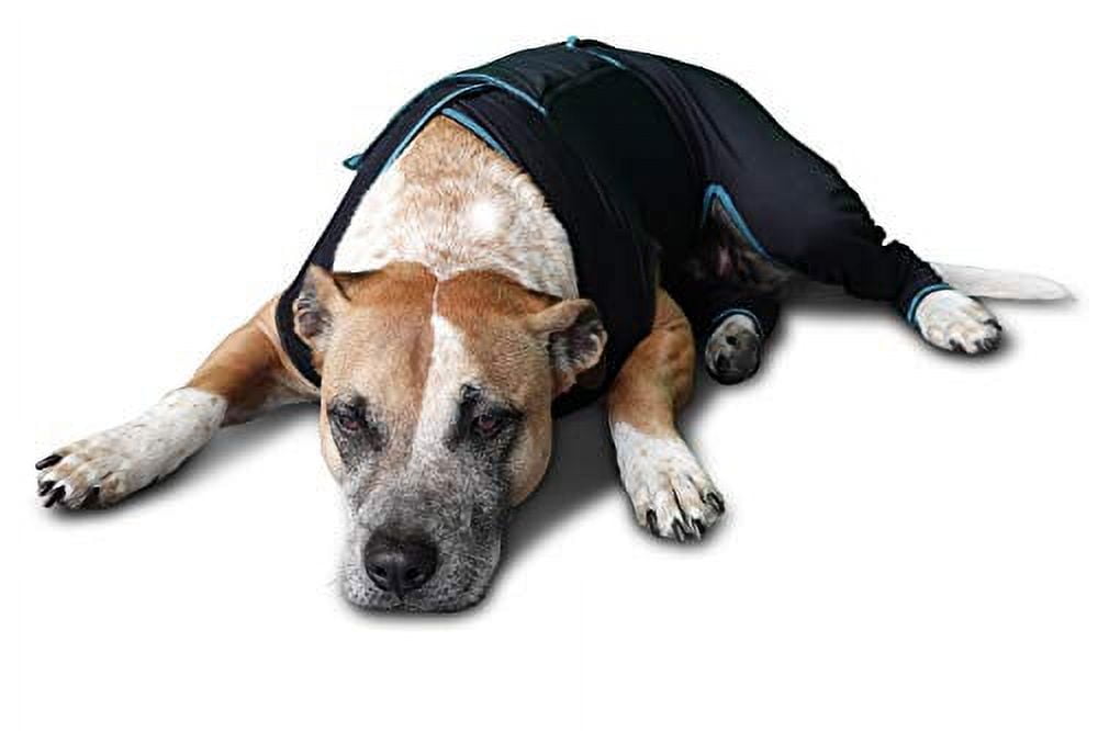 BENEFAB Therapeutic Comfort Suit for Dogs — Lightweight Far-Infrared ...