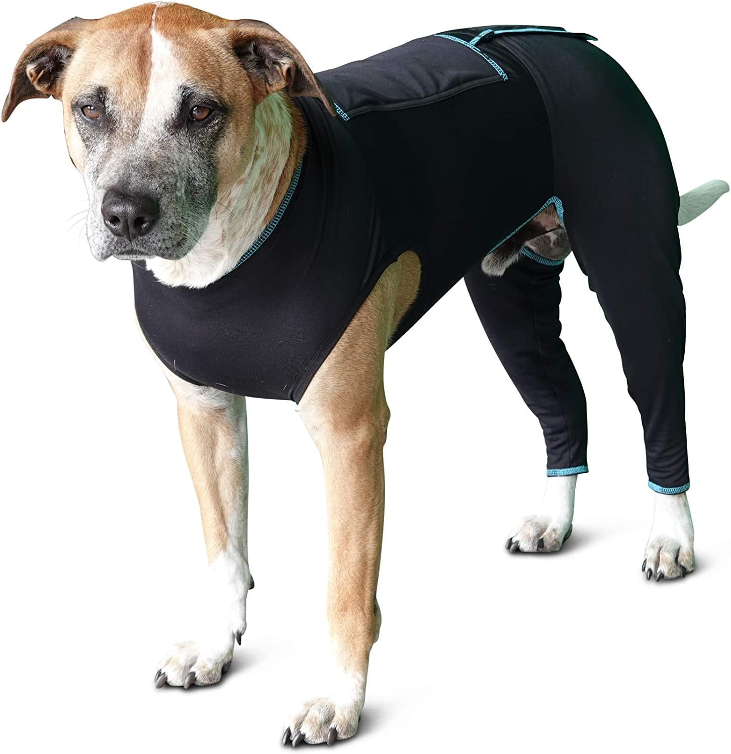 BENEFAB Therapeutic Comfort Suit for Dogs — Lightweight Far-Infrared ...