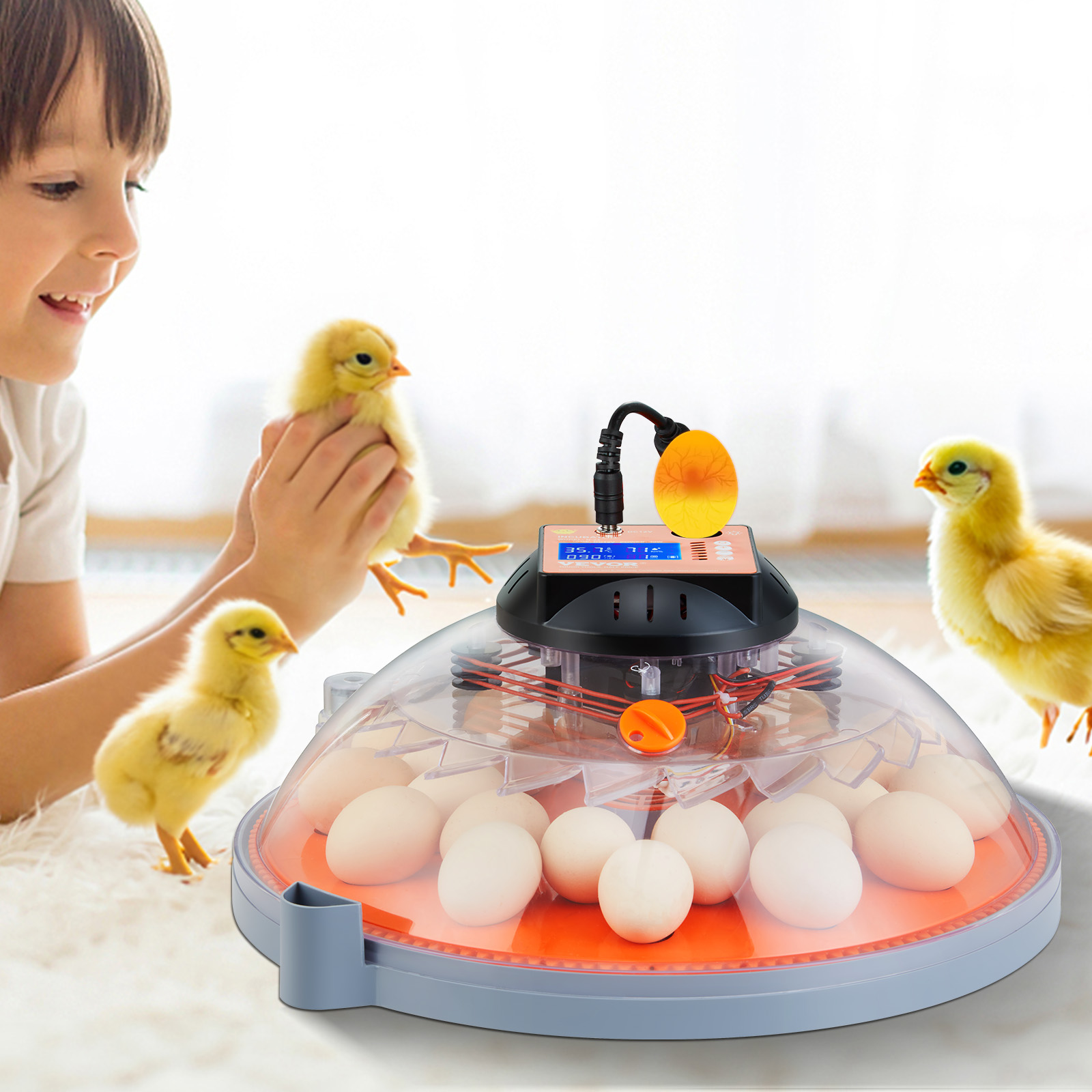 BENTISM Egg Incubator Incubators for Hatching Eggs Auto Egg Turning 12 ...