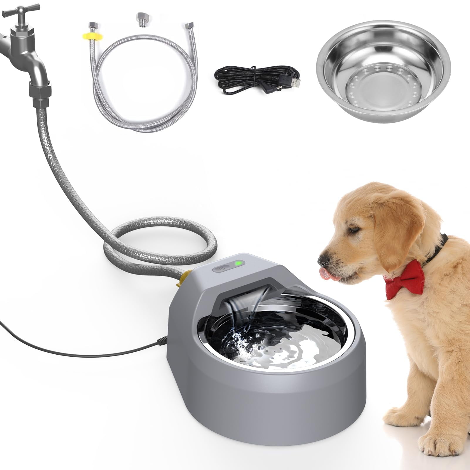 BENTOPAL Dog Water Fountain Auto Filling Dog Water Dispenser Connect ...