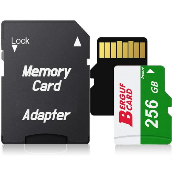 256 GB Memory Cards