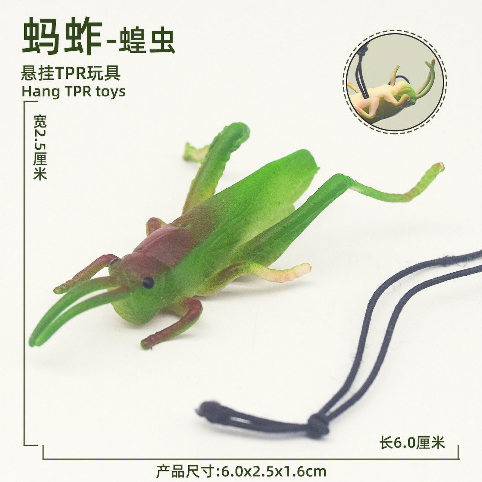 BERTDOMD 12pcs Realistic Grasshoppers Toys Kids Educational Insect ...