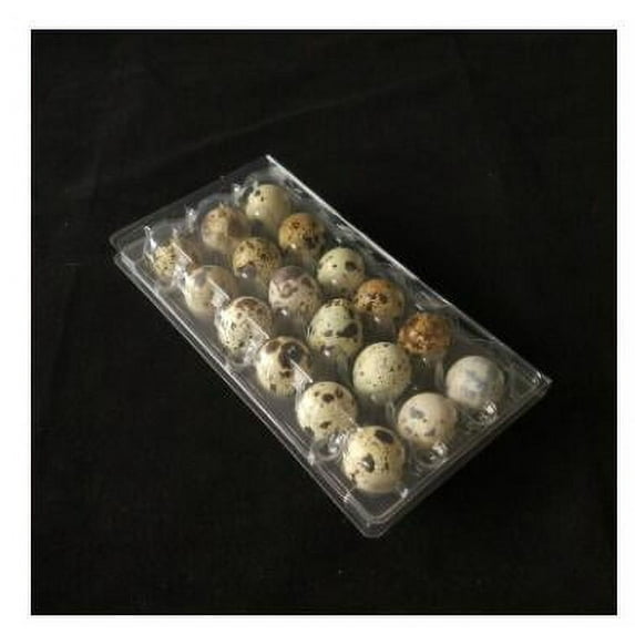 HEMOTON Clear PVC Quail Cartons with 18-Compartment Stackable Design ...