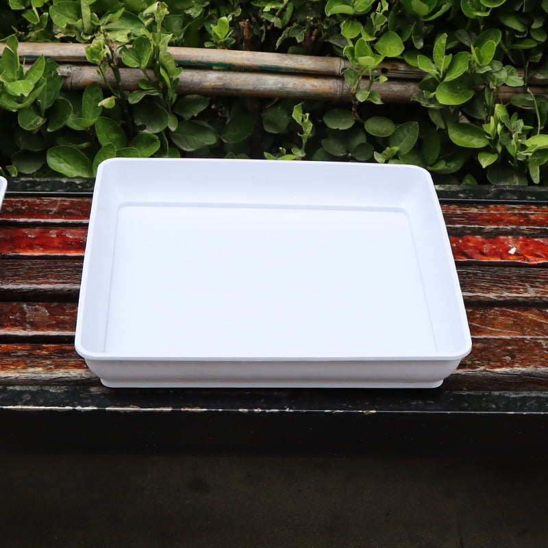 BERTDOMD 2pcs Bird Water Bowls Replacement Bird Bath Bowls Plastic Bird ...