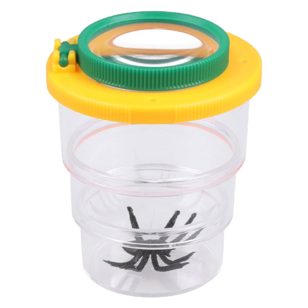 BERTDOMD Insect Observation Box Magnifier Insert Viewer Magnifying ...