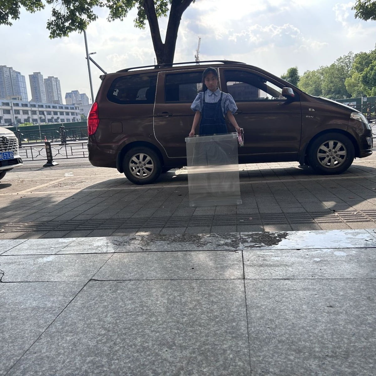 RENACLIPY Invisibility Shield Lenticular Sheet Conjury Tricks for ...