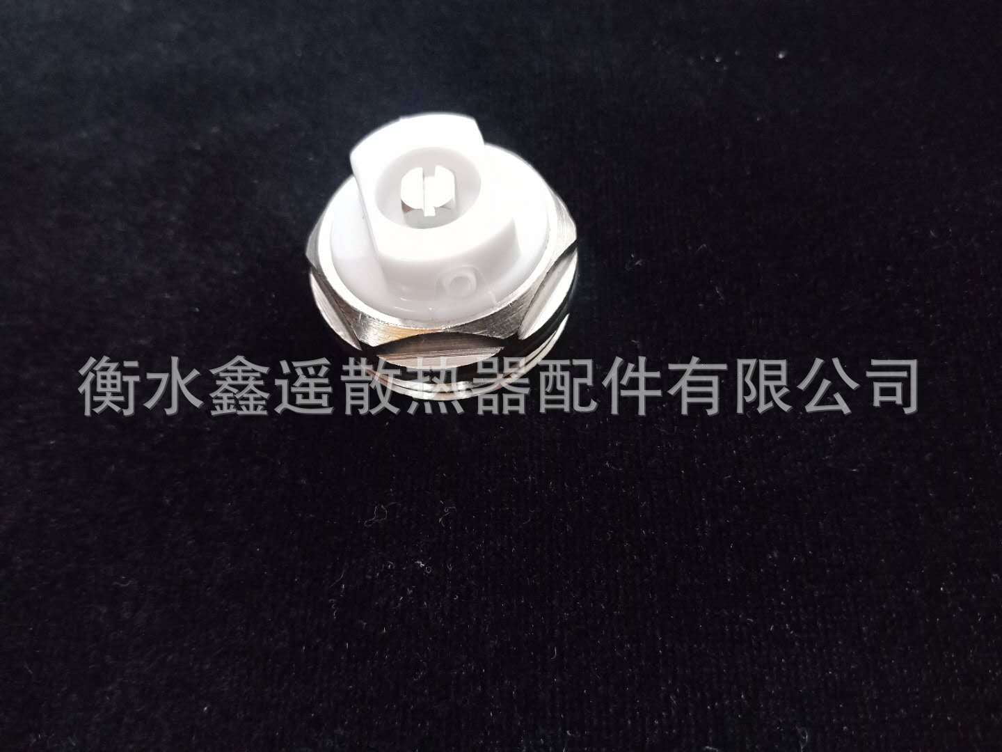 BERTDOMD Radiator Exhaust Valve Thread Exhaust Valve Bleed Air Valve ...