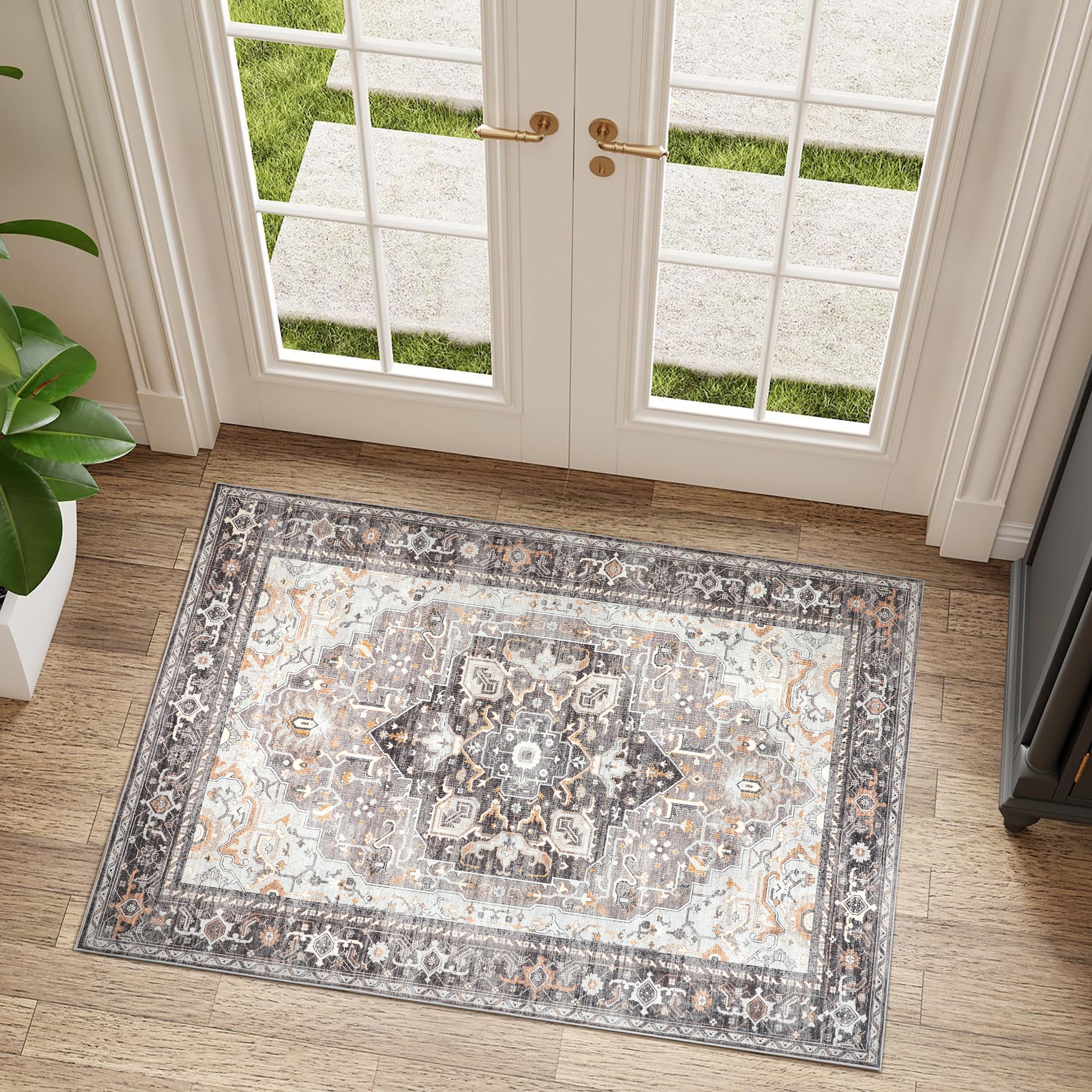 BERTHMEER 2'x3' Area Rugs Small Rugs for door Entryway indoor Doormats ...