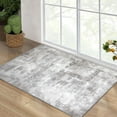 BERTHMEER 2'x3' Small Abstract Area Rugs for Entryway Doorway indoor ...