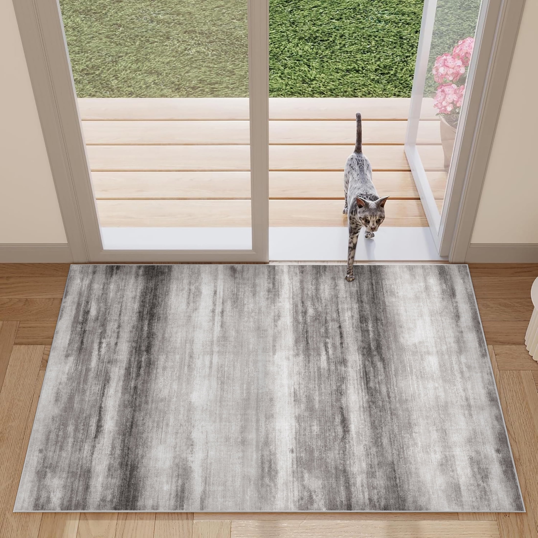 BERTHMEER 2'x3' Small Area Rugs Washable Rugs for Entryway Doorway ...