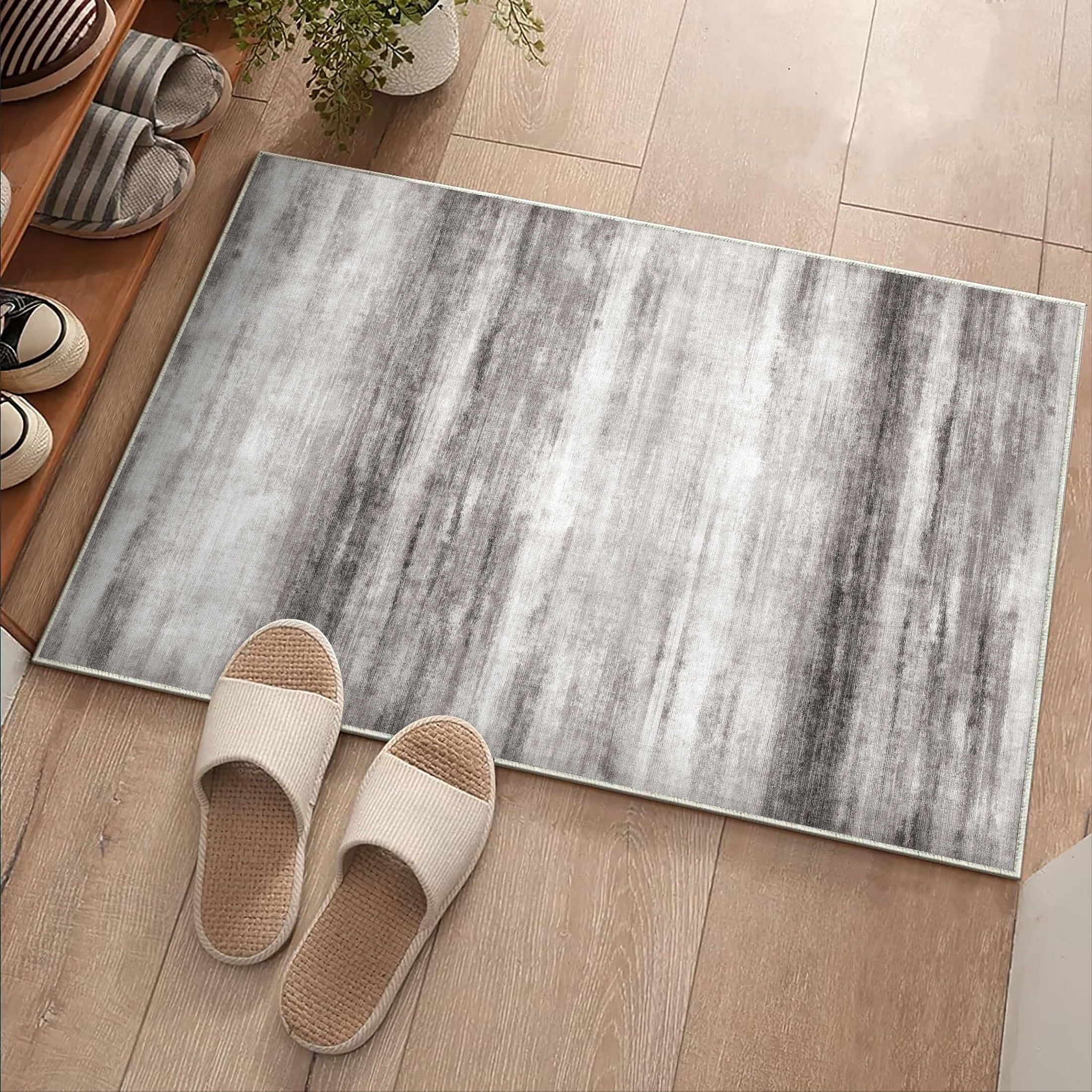 BERTHMEER 2'x3' Small Area Rugs Washable Rugs for Entryway Doorway ...